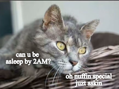 Plotting Ahead - Lolcats - lol | cat memes | funny cats | funny cat ...