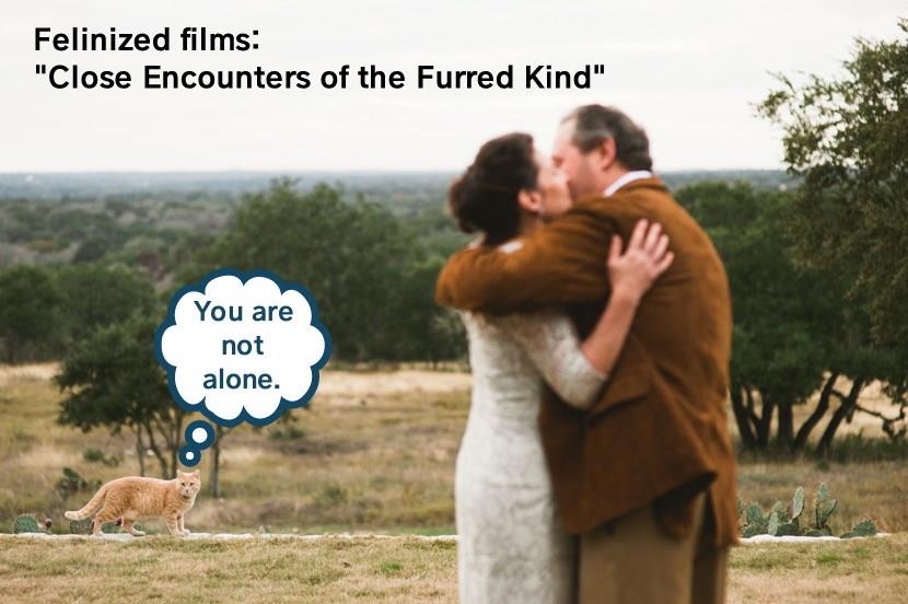 Felinized films: "Close Encounters" - Lolcats - lol | cat memes | funny ...