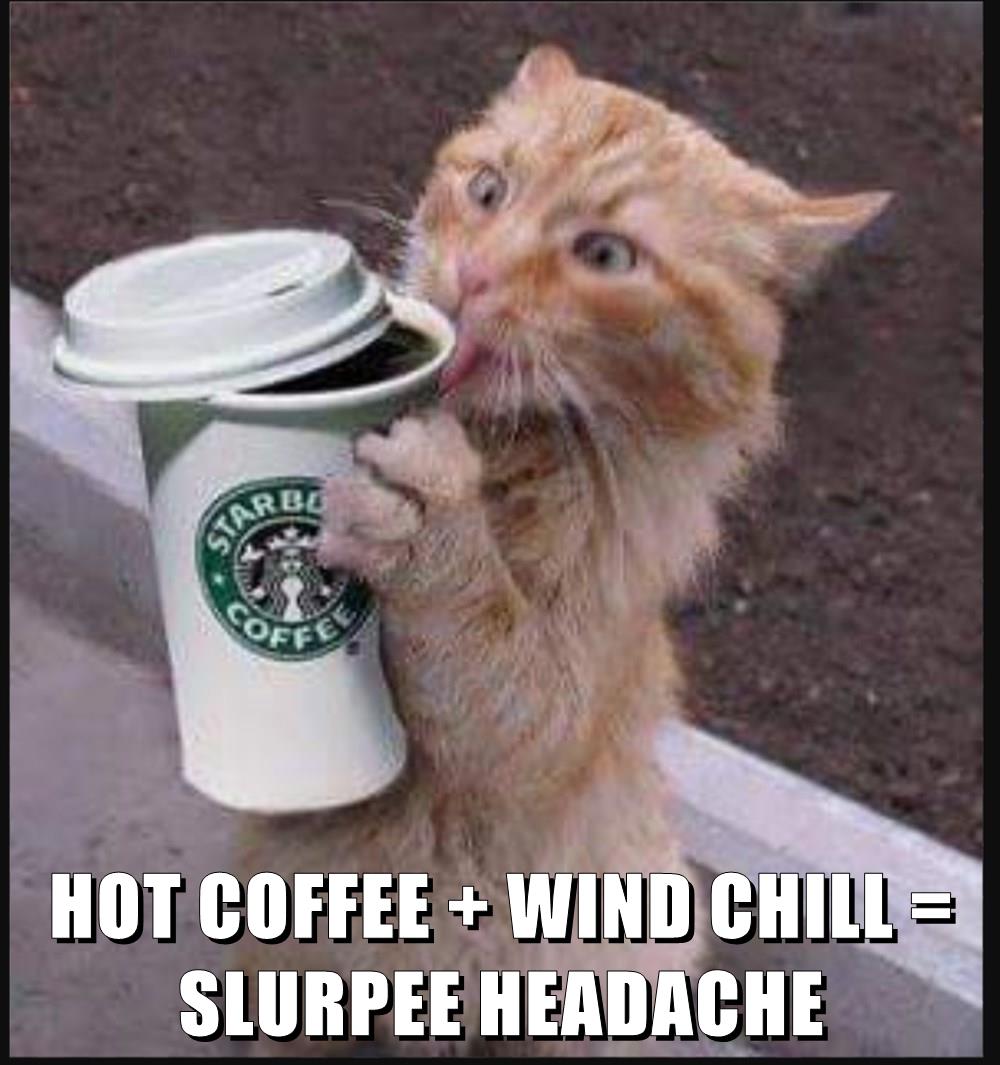 HOT COFFEE + WIND CHILL - Lolcats - lol | cat memes | funny cats ...