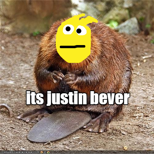 its Justin bever - Animal Comedy - Animal Comedy, funny animals, animal ...