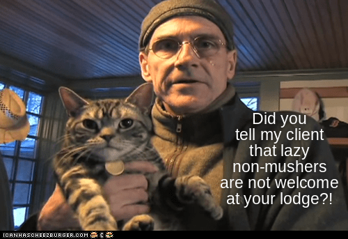 It's as if you think dogs are superior - Lolcats - lol | cat memes ...