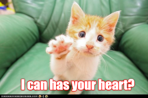 For real? Truly and honestly? - Lolcats - lol | cat memes | funny cats ...