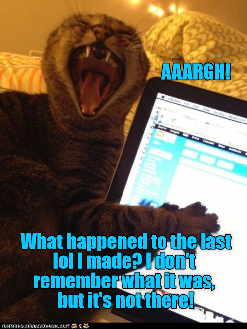 U sure U didn't dream it? - Lolcats - lol | cat memes | funny cats ...