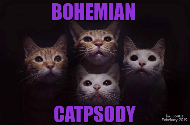 I'M JUST A PURR CAT... - Lolcats - lol | cat memes | funny cats | funny ...