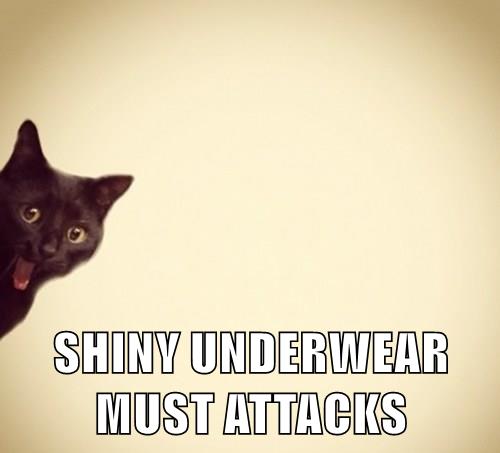 SHINY UNDERWEAR MUST ATTACKS - Lolcats - lol | cat memes | funny cats ...