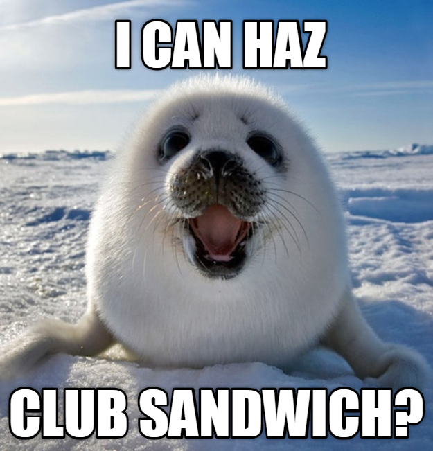 OH, BOOOOOOOOOO!!! - Animal Comedy - Animal Comedy, funny animals ...