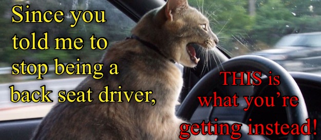 Fasten your seatbelt, it’s going to be a bumpy ride. - Lolcats - lol ...
