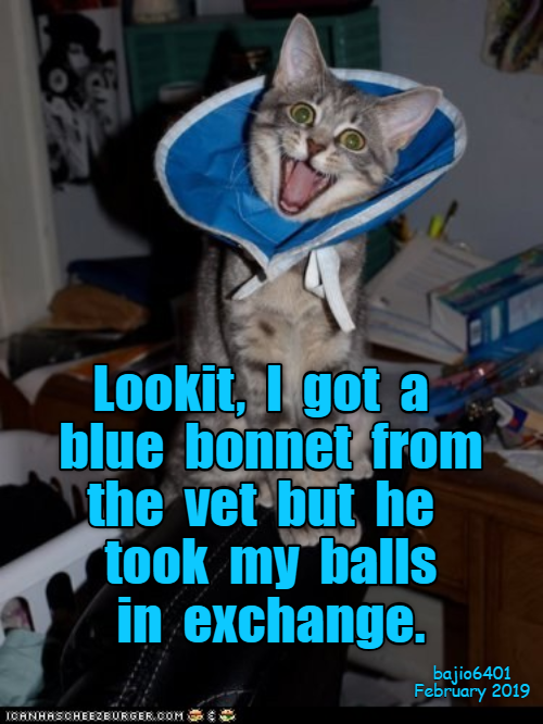 NOT A FAIR TRADE - Lolcats - lol | cat memes | funny cats | funny cat ...