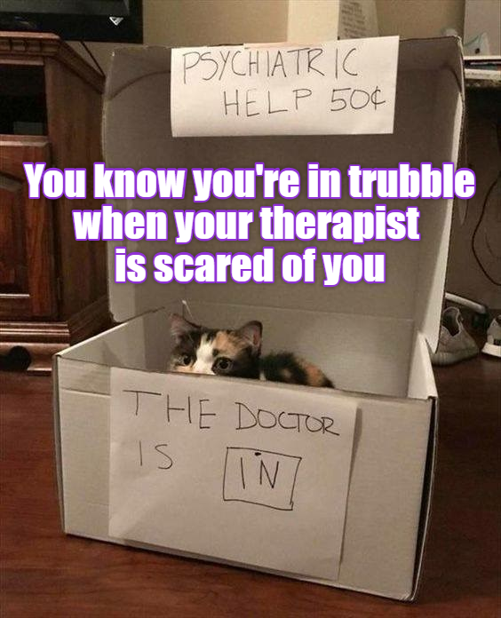 No Can Halp - Lolcats - lol | cat memes | funny cats | funny cat ...