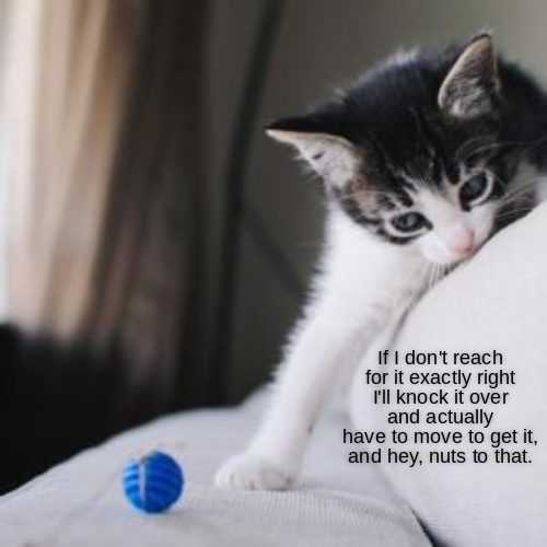 Lethargy mode - Lolcats - lol | cat memes | funny cats | funny cat ...