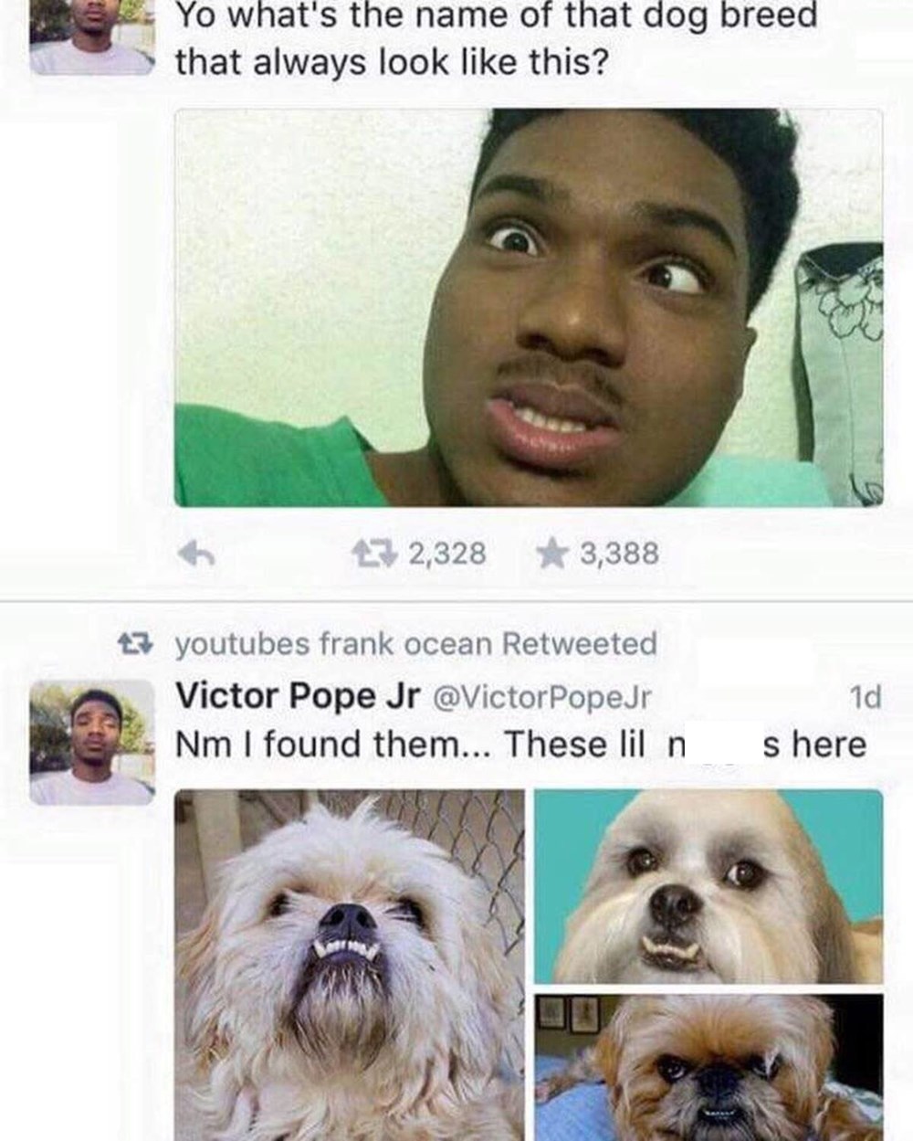 Memebase Funny Memes Memebase Funny Memes