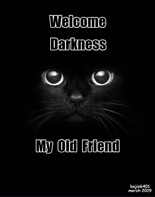 WE MEET AGAIN - Lolcats - lol | cat memes | funny cats | funny cat ...