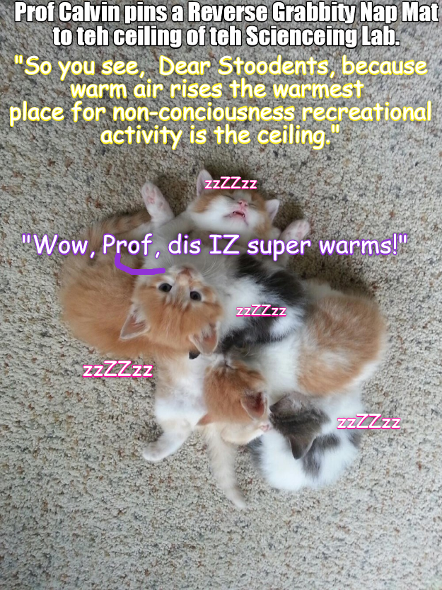 Science Is Funs class at KKPS: Thermodynamics - Lolcats - lol | cat ...