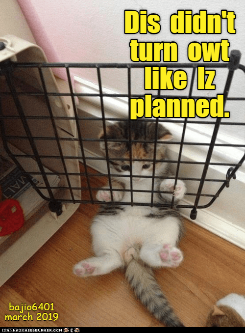 BEST LAID PLANS - Lolcats - lol | cat memes | funny cats | funny cat ...