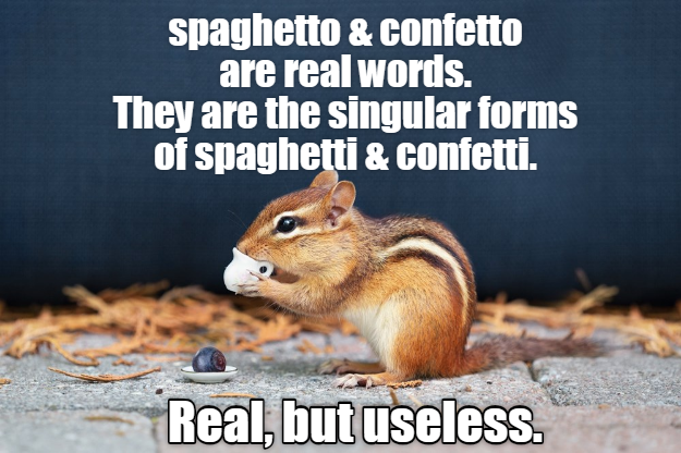 You never see just one ant... - Animal Comedy - Animal Comedy, funny ...