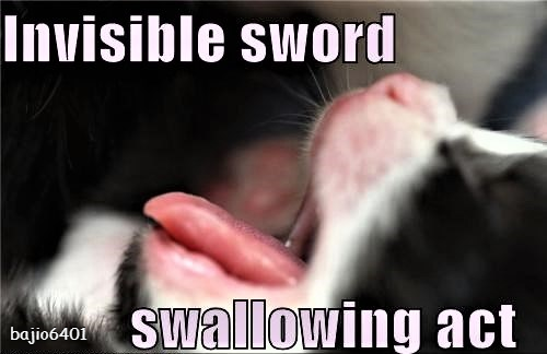 Invisible sword - Lolcats - lol | cat memes | funny cats | funny cat ...