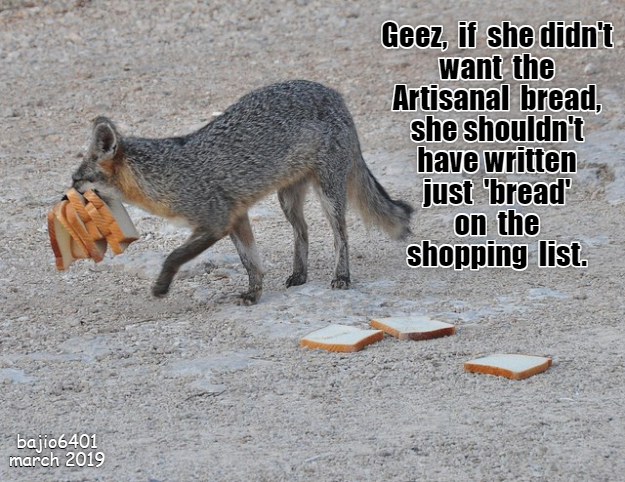 PICKY, PICKY, PICKY - Animal Comedy - Animal Comedy, funny animals ...