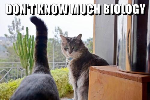 DON'T KNOW MUCH BIOLOGY - Lolcats - lol | cat memes | funny cats ...