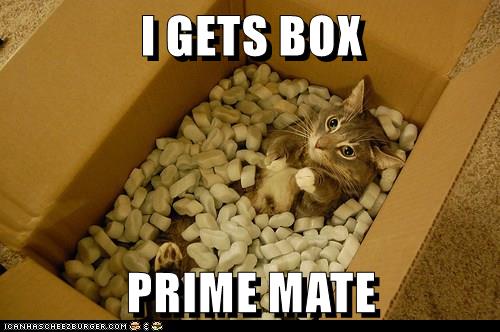 PRIME MATE - Lolcats - lol | cat memes | funny cats | funny cat ...