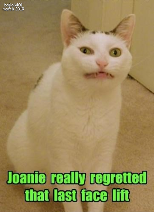 THINGS FEEL A TOUCH TIGHT - Lolcats - lol | cat memes | funny cats ...