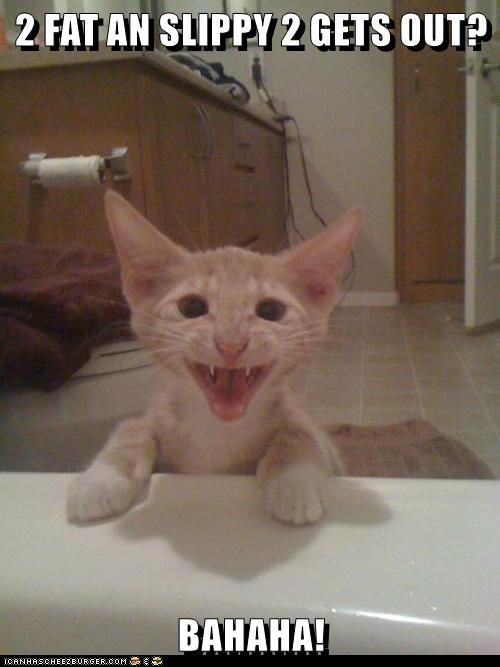 2 FAT AN SLIPPY 2 GETS OUT? BAHAHA! - Lolcats - lol | cat memes | funny ...
