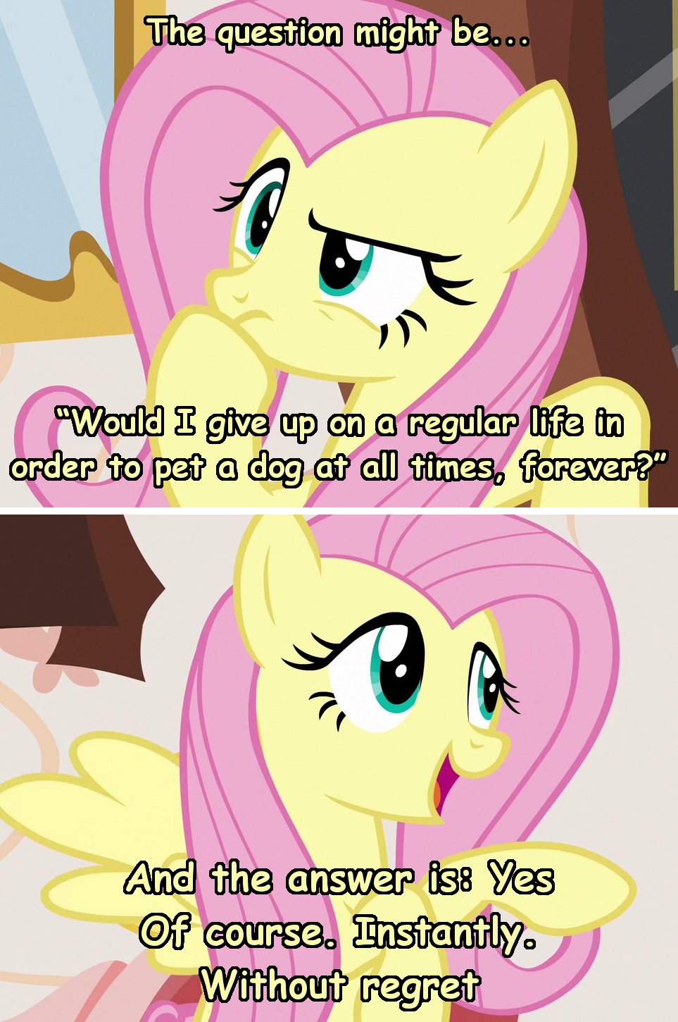 Asking the Important Questions - My Little Brony - my little pony ...