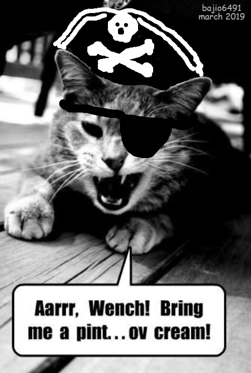 PIRATE CAT IS HUNGRY - Lolcats - lol | cat memes | funny cats | funny ...
