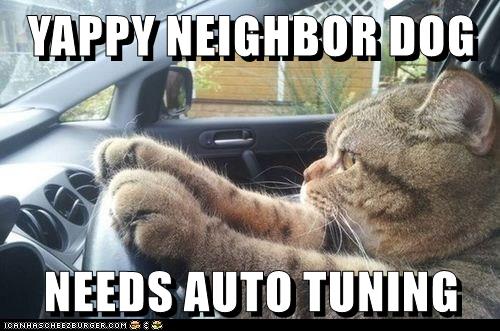 AUTO TUNING - Lolcats - lol | cat memes | funny cats | funny cat ...