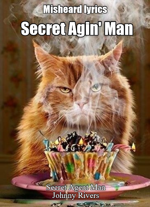 Secret Agin' Man - Lolcats - lol | cat memes | funny cats | funny cat ...