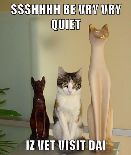 SSSHHHH BE - Lolcats - lol | cat memes | funny cats | funny cat ...