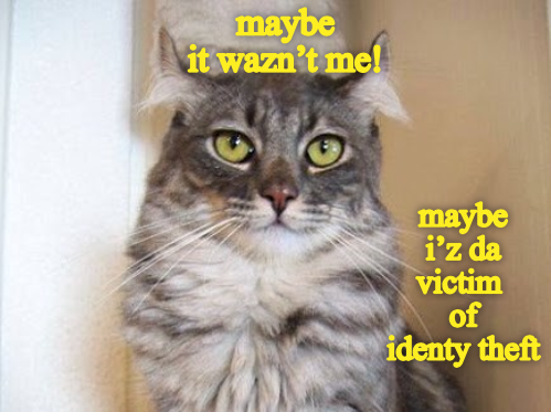Oh Well, That Would Explain The Current Crime Wave - Lolcats - lol ...