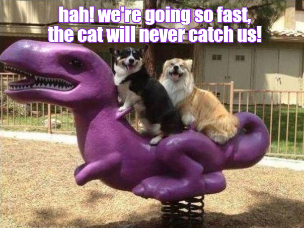 Speedy escape - I Has A Hotdog - Dog Pictures - Funny pictures of dogs ...