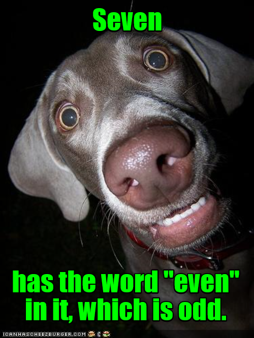 That's deep. - I Has A Hotdog - Dog Pictures - Funny pictures of dogs ...