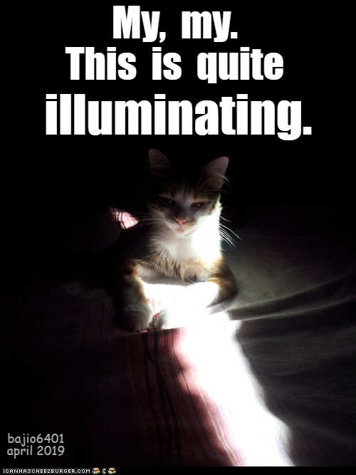 AND BRIGHT, REALLY BRIGHT - Lolcats - lol | cat memes | funny cats ...