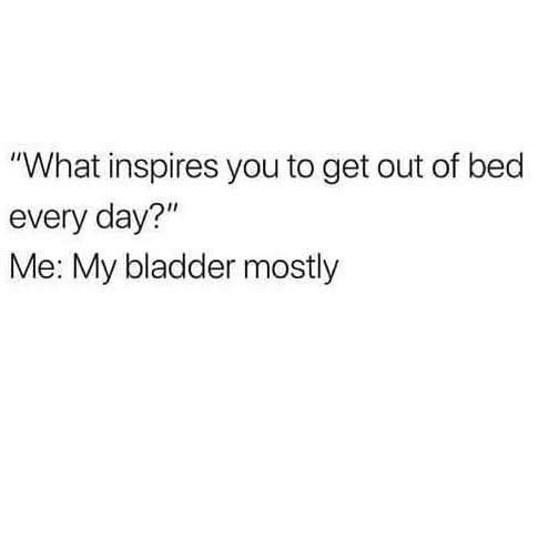 Memebase - bladder - All Your Memes In Our Base - Funny Memes - Cheezburger