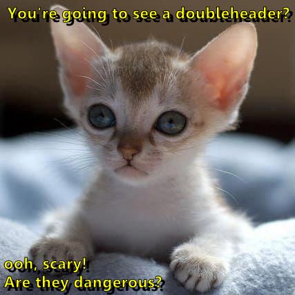 Scary! - Lolcats - lol | cat memes | funny cats | funny cat pictures ...