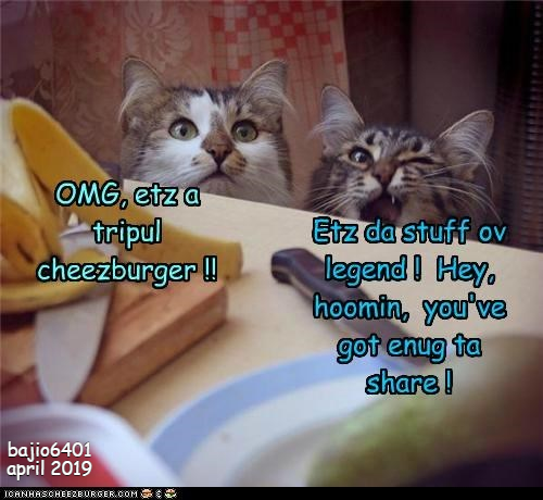 THE STUFF OF CHEEZBURGER LEGEND - Lolcats - lol | cat memes | funny ...