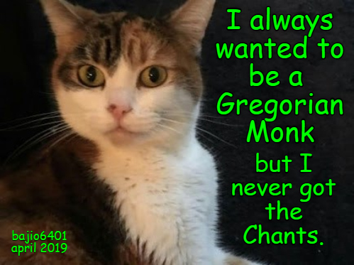 PUN CAT GOES RELIGIOUS - Lolcats - lol | cat memes | funny cats | funny ...