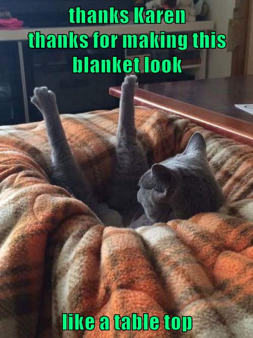 Tanks Karen - Lolcats - lol | cat memes | funny cats | funny cat ...