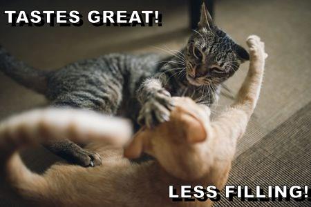 TASTES GREAT! LESS FILLING! - Lolcats - lol | cat memes | funny cats ...