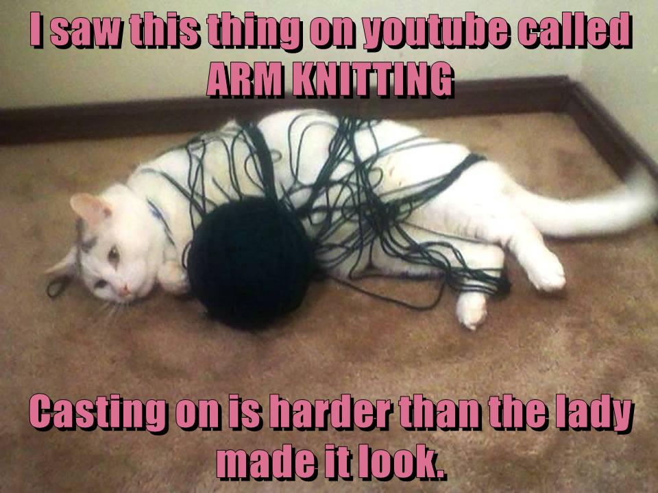 ARM KNITTING - Lolcats - lol | cat memes | funny cats | funny cat ...