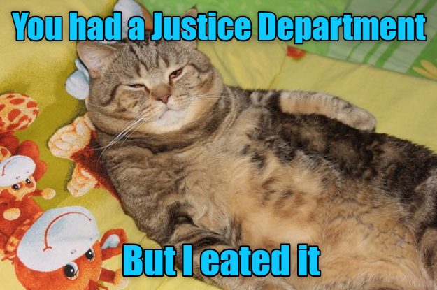 Coming out of retirement was so worth it - Lolcats - lol | cat memes ...