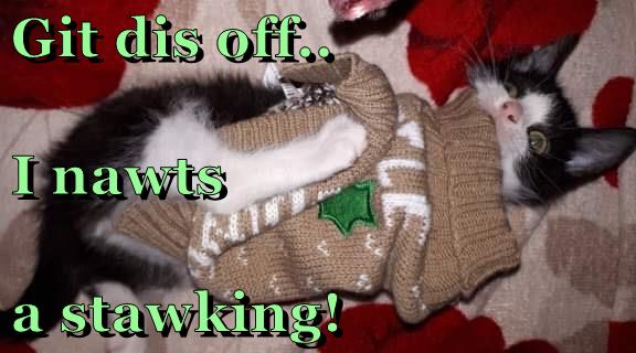 Git dis off... - Lolcats - lol | cat memes | funny cats | funny cat ...