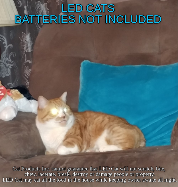 From the Makers of Laser Cats - Lolcats - lol | cat memes | funny cats ...