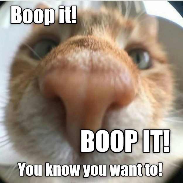 Boop it! - Lolcats - lol | cat memes | funny cats | funny cat pictures ...