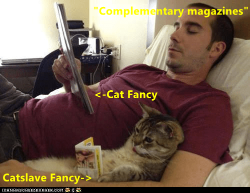 "Complementary magazines" - Lolcats - lol | cat memes | funny cats ...