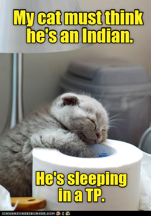 Binge watching "F Troop" - Lolcats - lol | cat memes | funny cats ...