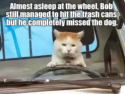 No bonus points - Lolcats - lol | cat memes | funny cats | funny cat ...