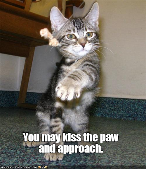 A gift would also help - Lolcats - lol | cat memes | funny cats | funny ...