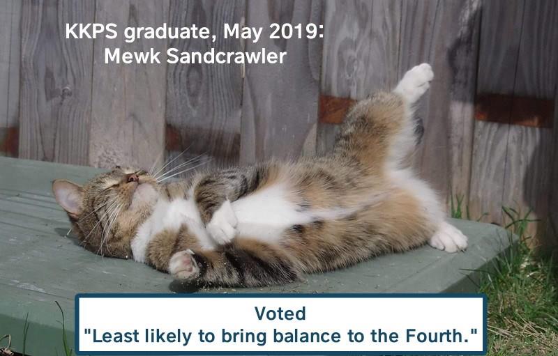 May 2019 KKPS graduate - Lolcats - lol | cat memes | funny cats | funny ...